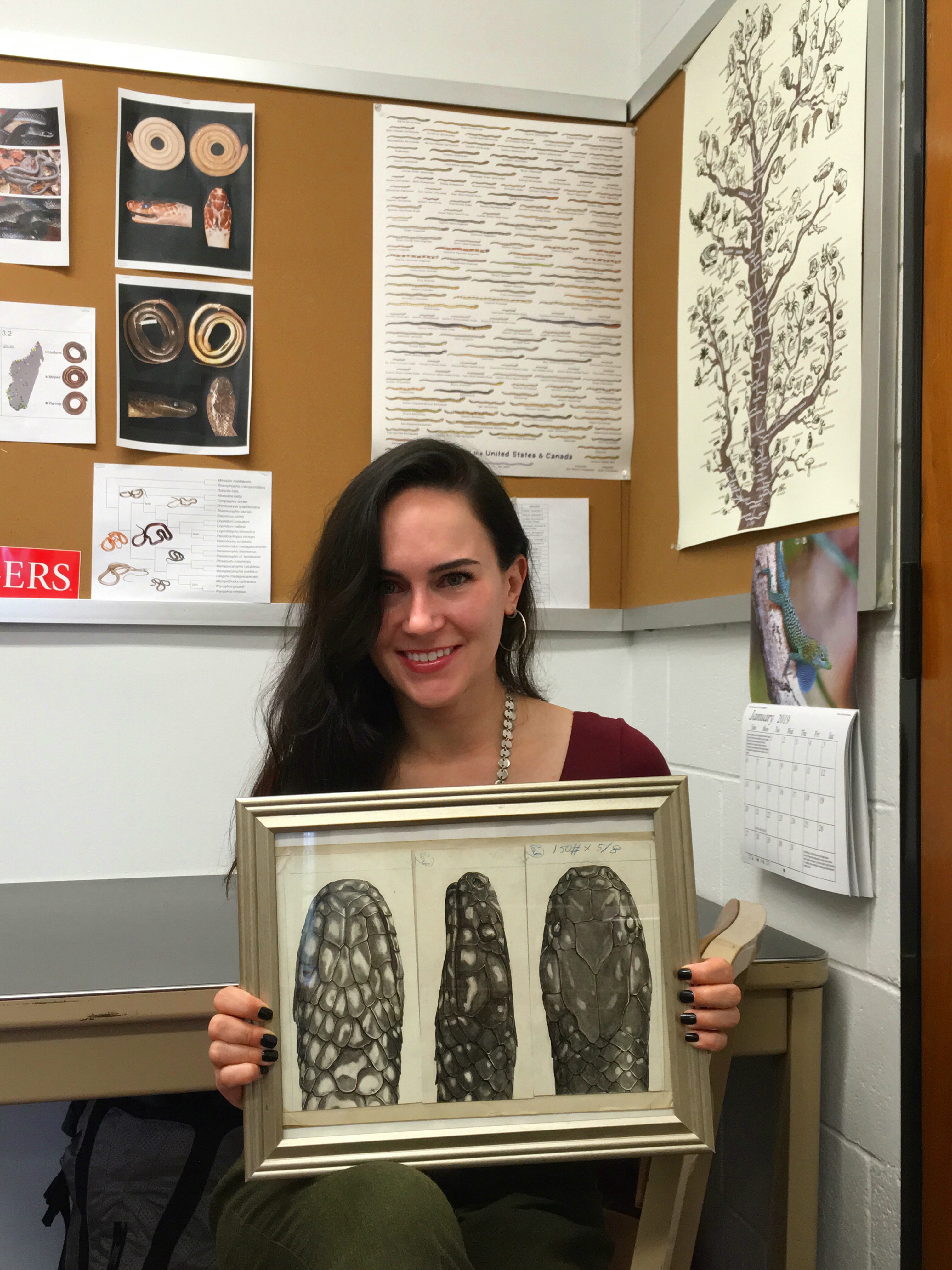 Snake Systematics and more: An interview with Sara Ruane - Save The Snakes