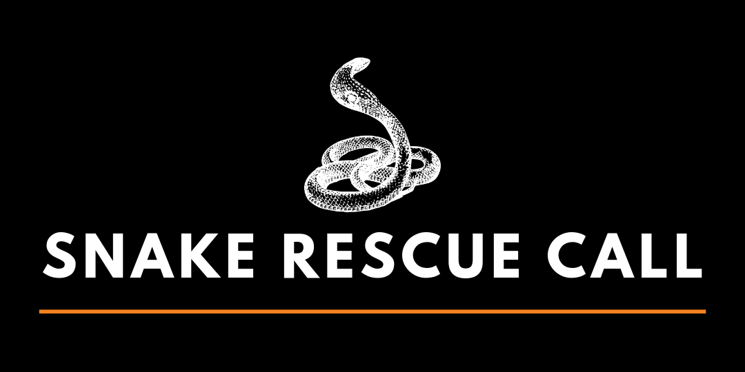 Snake-Rescue-Call-Logo – Save The Snakes