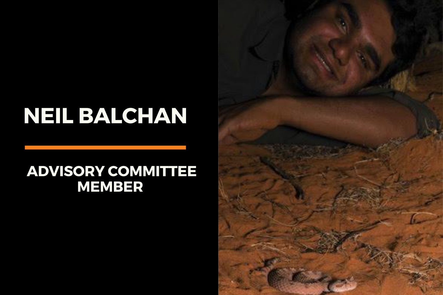 Neil Balchan - Save The Snakes