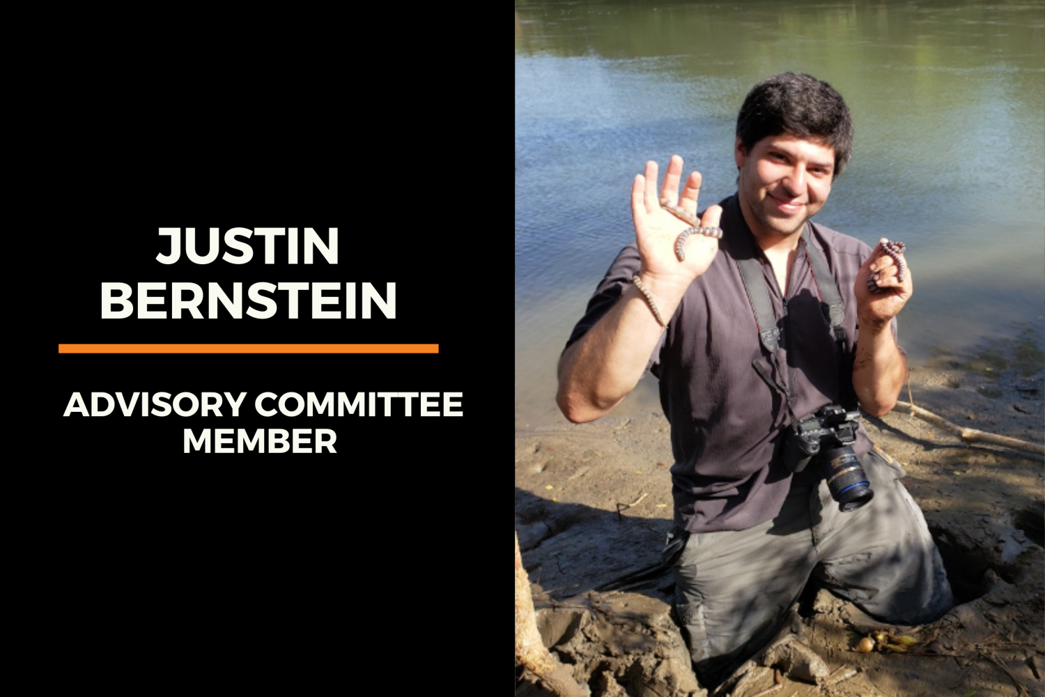 Justin Bernstein - Save The Snakes