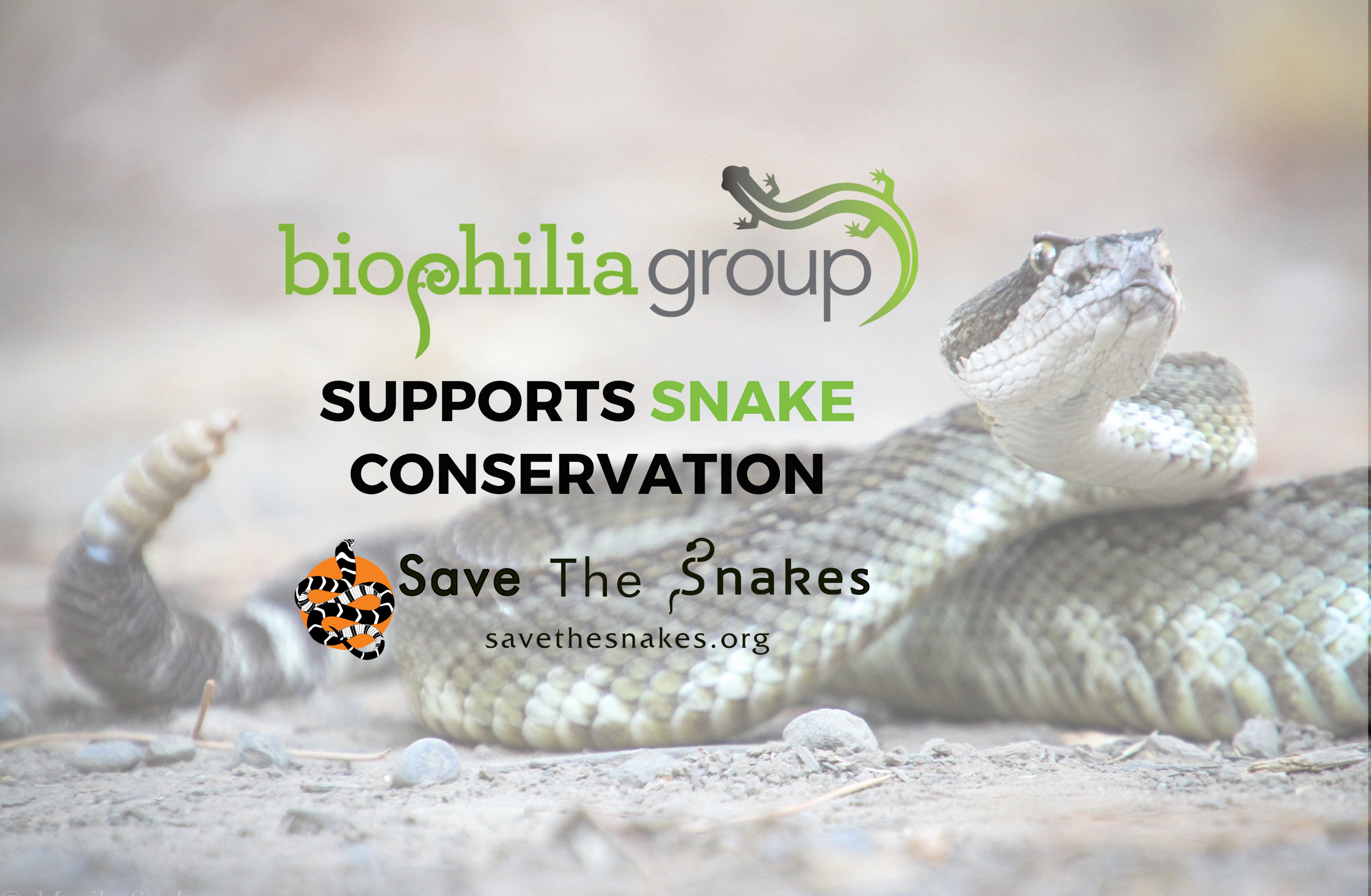 Snakes are Important, Let's Save Them Together - Save The Snakes