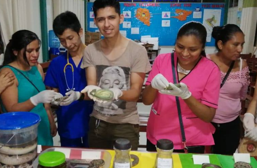 Human-snake conflict in the Bolivian Amazon: educating for coexistence ...