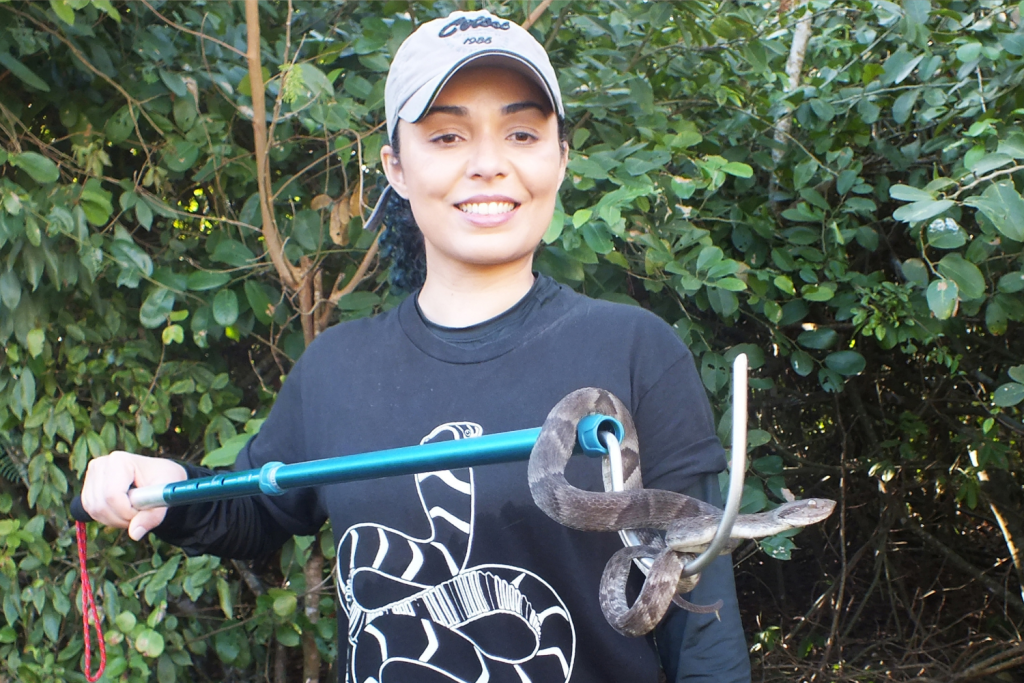 jane oliveira - Save The Snakes