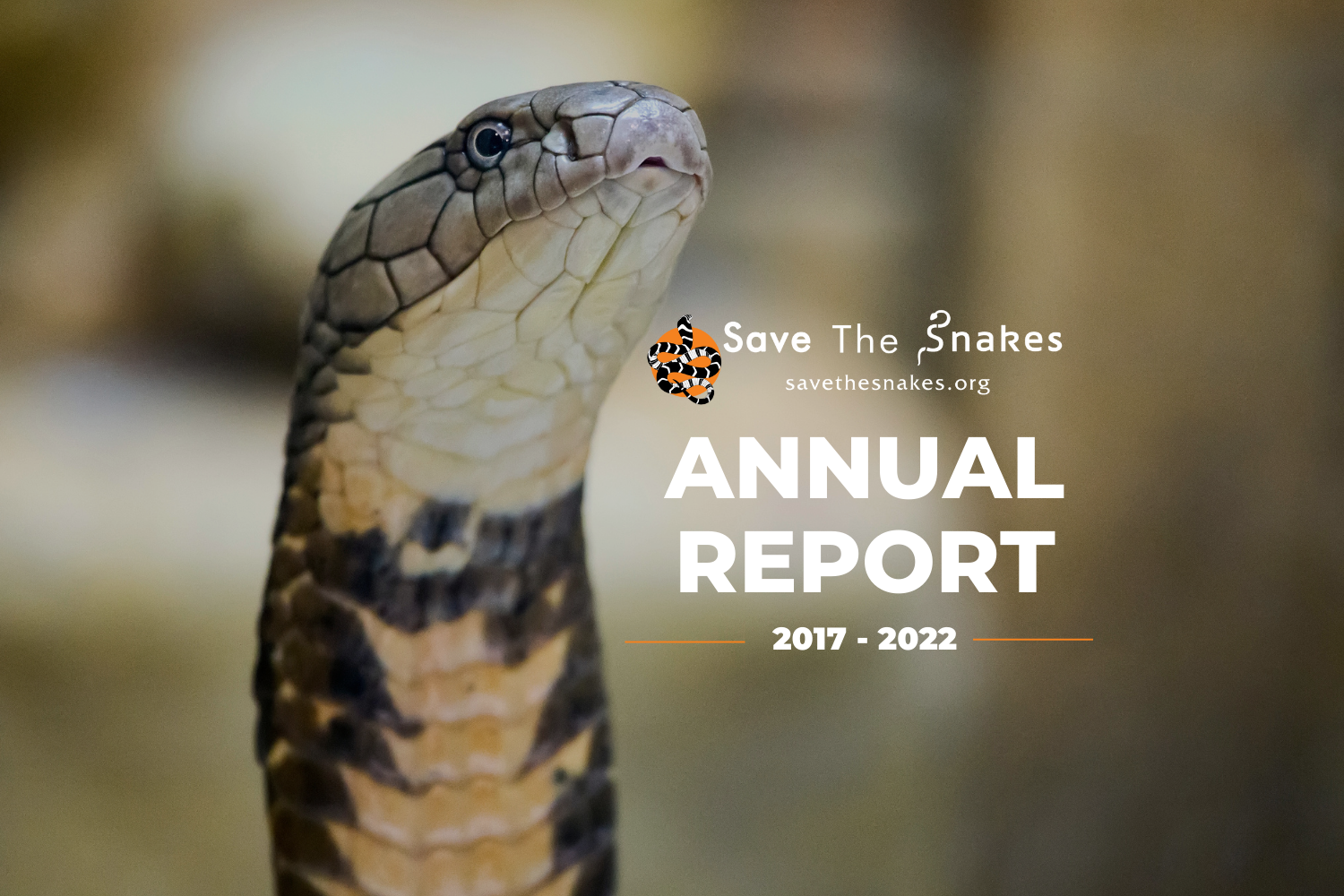 Bridging The Gap Between Snake Conservation and Human-Snake Conflict ...