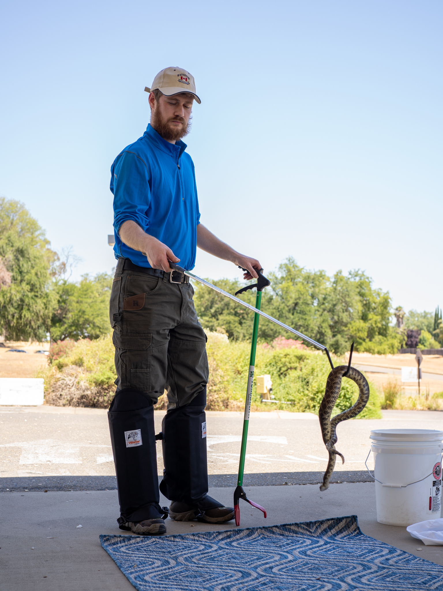 Rattlesnake Safety & Awareness Training Workshop - Save The Snakes