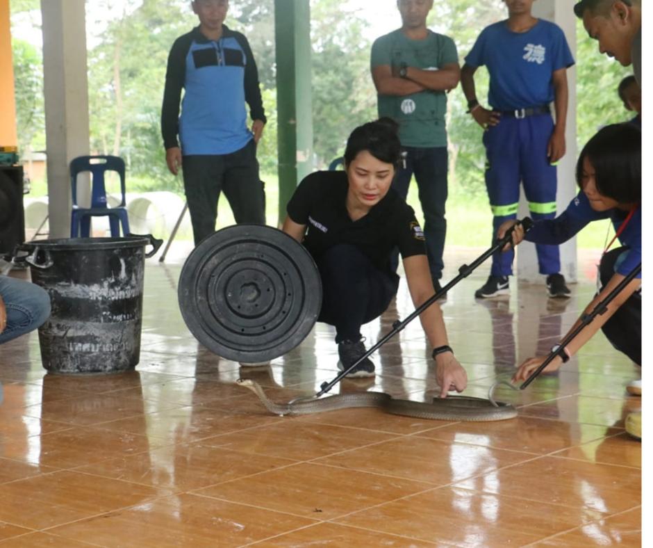 Training Workshop for Trainers: Enhancing Snake Knowledge and Handling ...